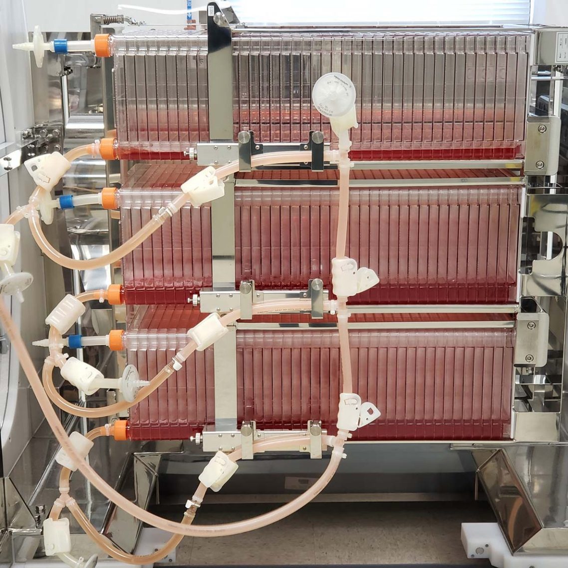 Cell Expansion and Cell Processing | Adherent and Suspension Cell ...