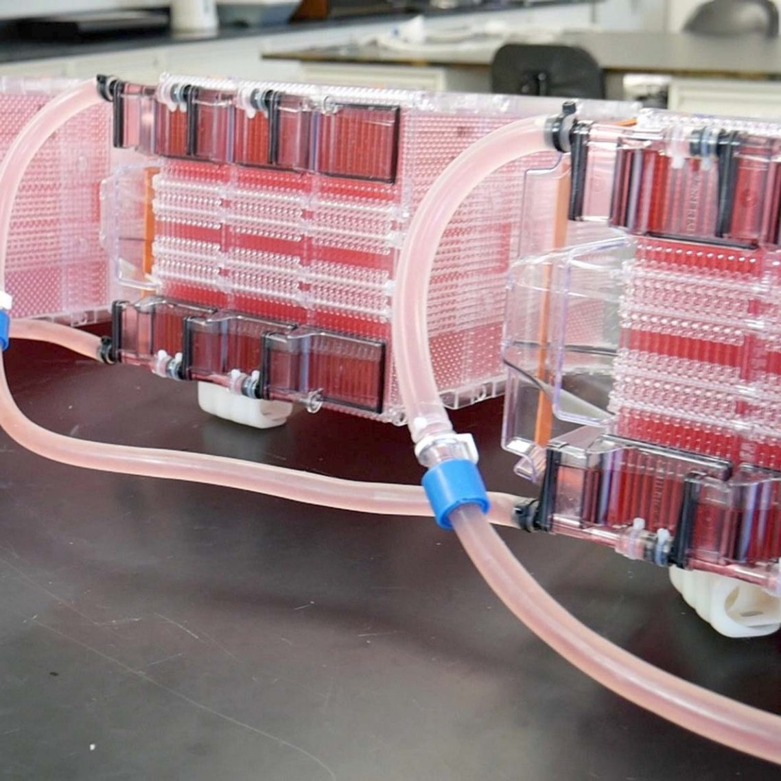 Cell Therapy Solutions | Cell and Gene Therapy Equipment | Corning