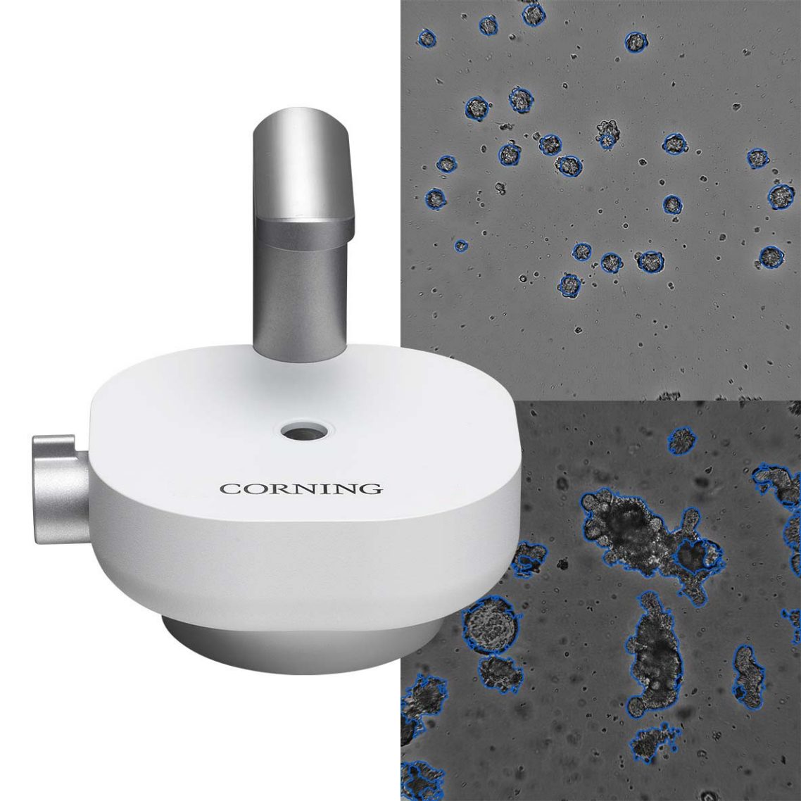 Corning® Cell Counter | Automated Cell Counter | Corning