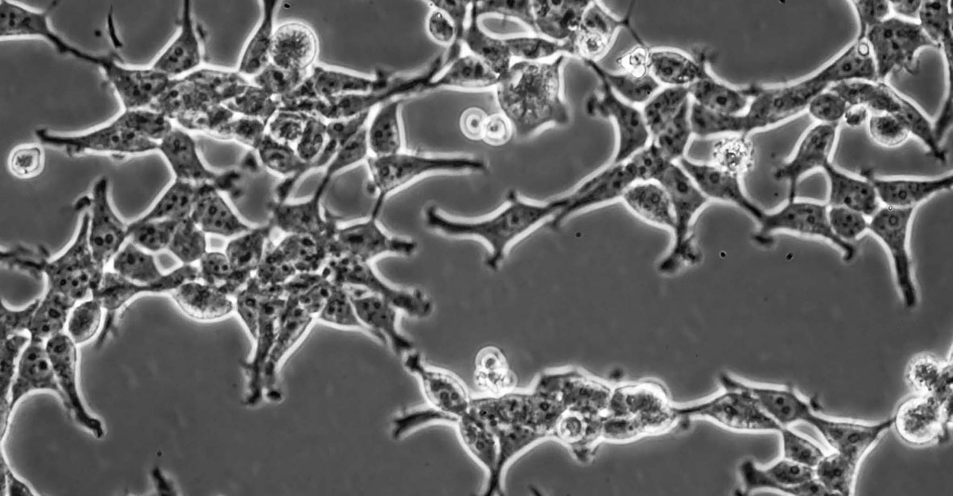 Corning HYPERStack Cell Culture Vessels | Corning