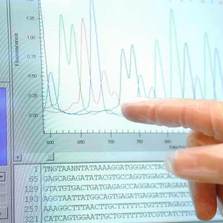 Cell Culture Contamination | How to Prevent Contamination in Cell ...