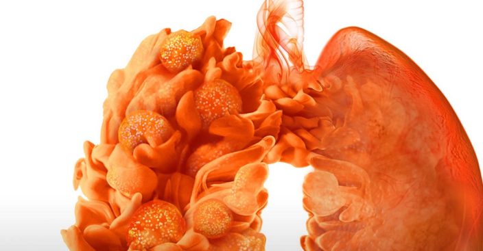 3D Spheroids | 3D Spheroid Cell Culture Models | Corning