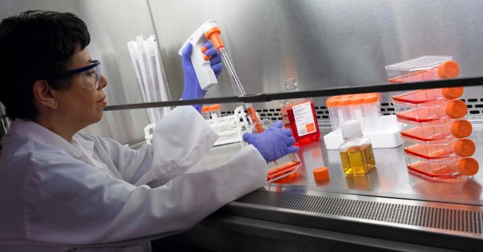 Cell Culture Contamination | How to Prevent Contamination in Cell ...