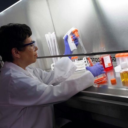 Five Easy Ways to Keep Your Cell Cultures Endotoxin-Free | Reduce ...