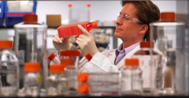 Cell Culture Contamination | How to Prevent Contamination in Cell ...