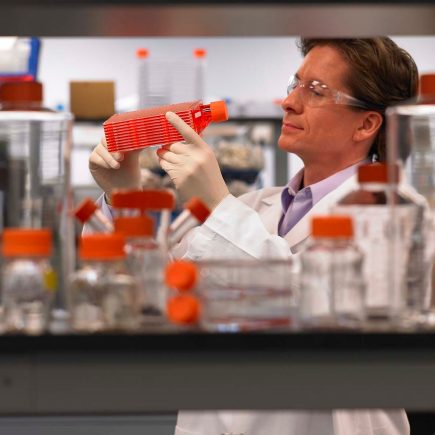 Cell Culture Contamination: Experts on How to Minimize Contamination ...