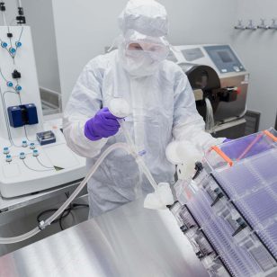 Allogenic Cell Therapeutics: Successfully Creating Master Cell Banks ...