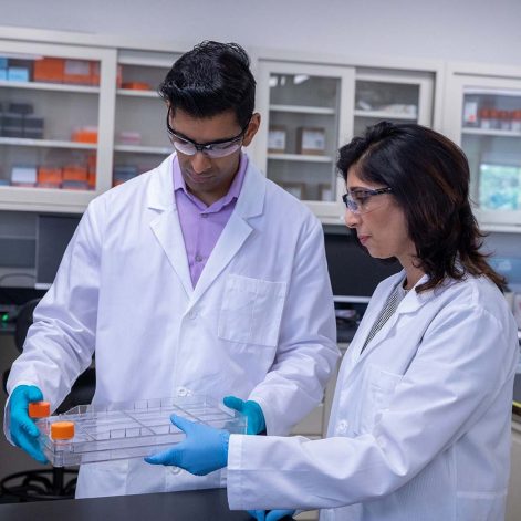 Corning Cell Culture History: Echoes of Life Science Innovations ...