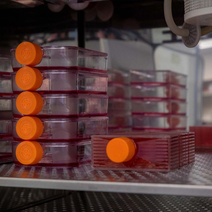 Reduce the Life Sciences Supply Chain Plastic Footprint With ...