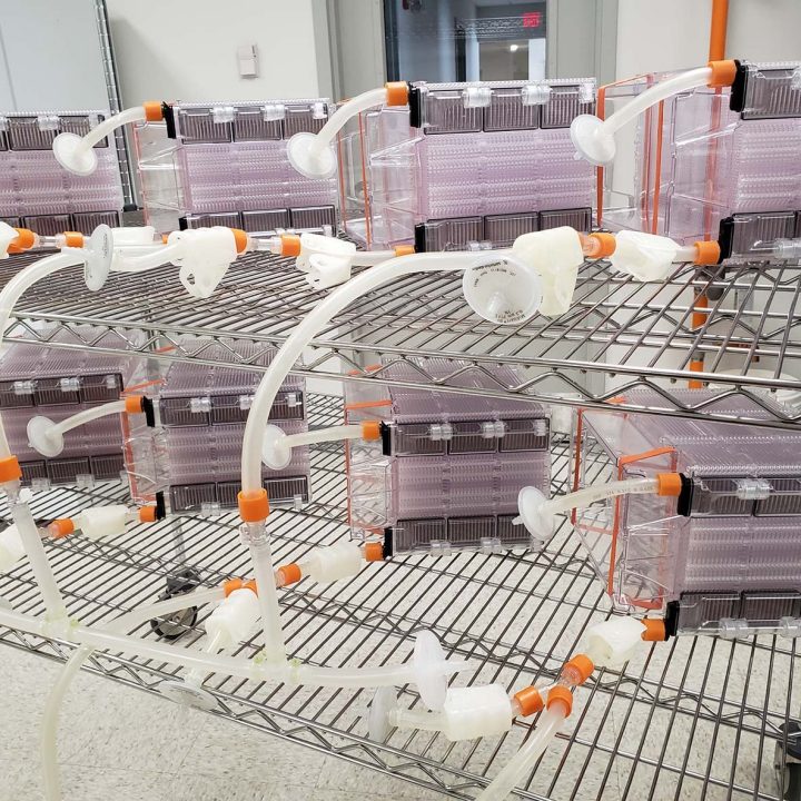 Optimizing Vaccine Production Processes Through Customization | Vaccine ...