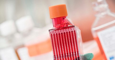 Corning HYPERStack Cell Culture Vessels | Corning