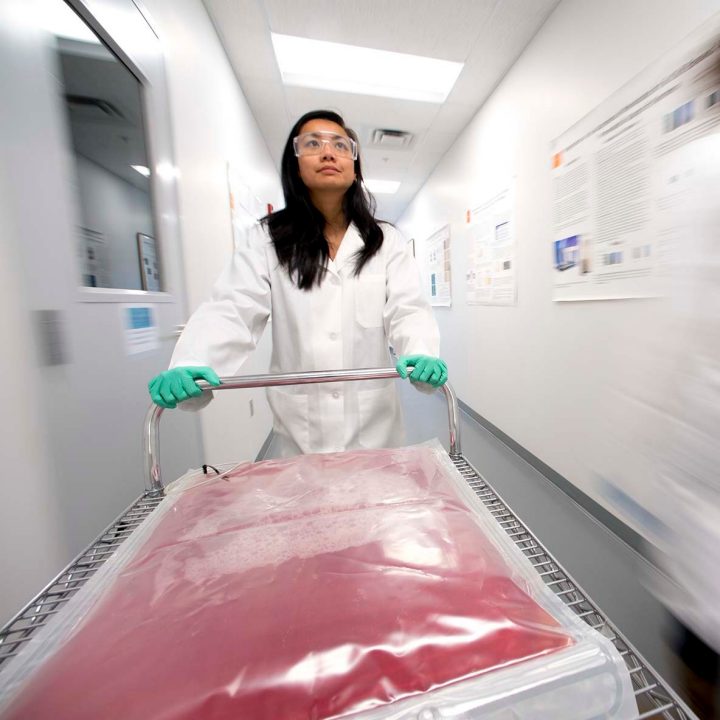 Scaling Vaccine Production Process Development Best Practices | Corning