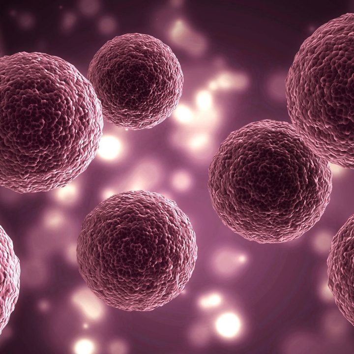 Spheroid vs. Organoid: What's the Difference?
