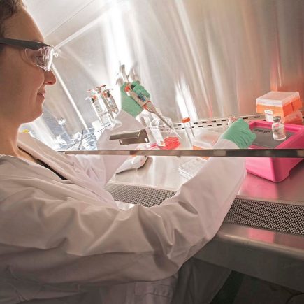 Cryopreservation of Cells: Dos and Don’ts | Corning