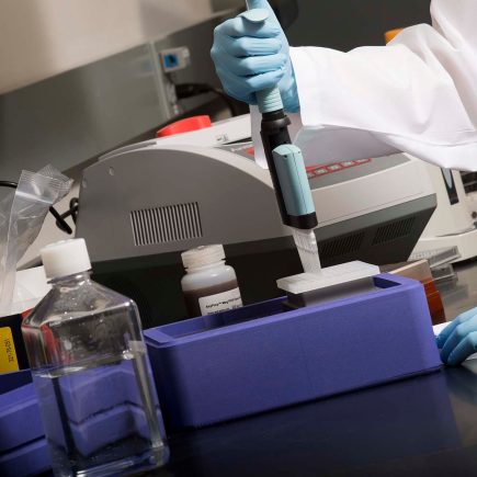 Freezing Cells and Thawing Cells to Maintain Viability ...