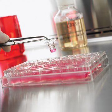 Life Sciences Product Catalog | Corning