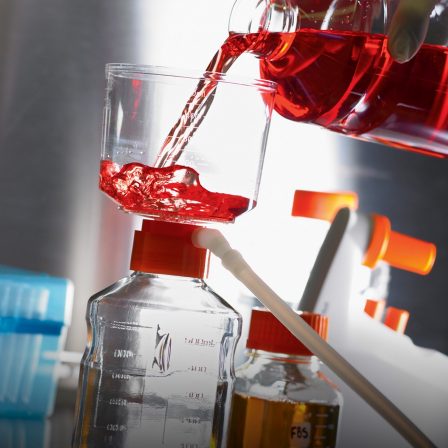 Bottles | General Labware | Corning