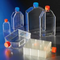 Cell Culture Consumables | Cell Cultureware, Surfaces and Media | Corning