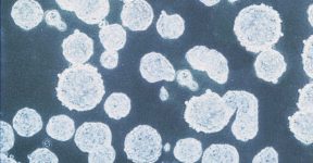 Corning® ECM Mimetic Surfaces and Substrates | ECM Mimetic and Advanced ...