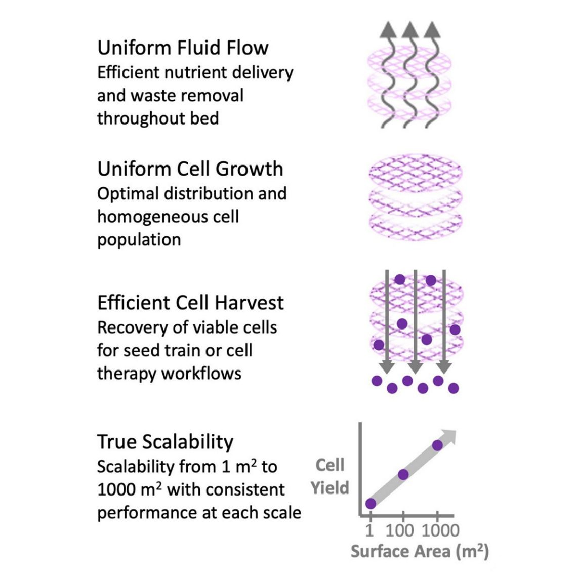 Ascent® Fixed Bed Bioreactor (FBR) System | Adherent Cell Bioreactor ...