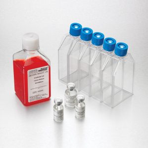 Cancer Research Products | Cancer Cell Research Resources | Corning