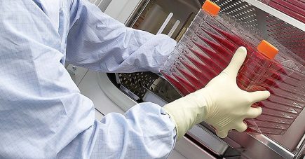 Accelerating Cancer Therapies Development: Platform, Process, and ...