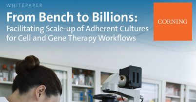 Gene Therapies: From Research To Reality | Cell and Gene Therapy (CGT ...