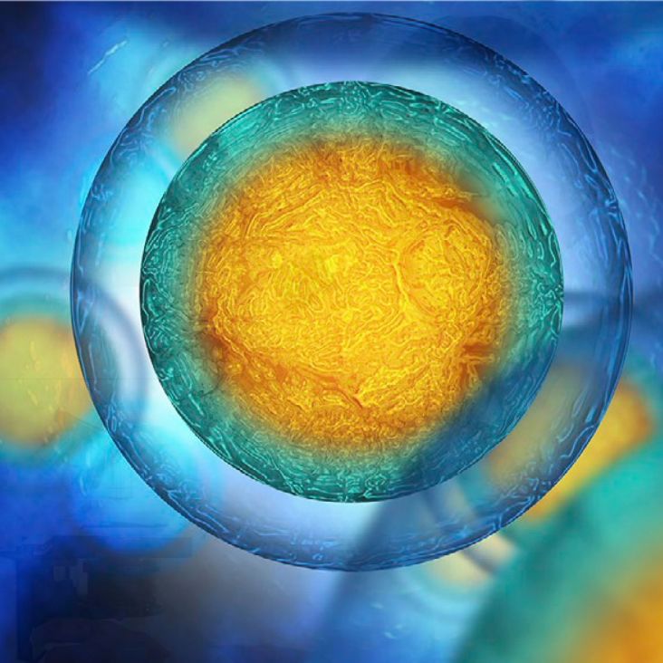 Cell Culture System | Corning CellCube Culture System | Corning