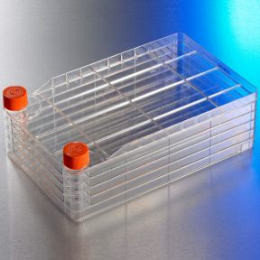 Stem Cell Products | Stem Cell Therapy Products | Corning