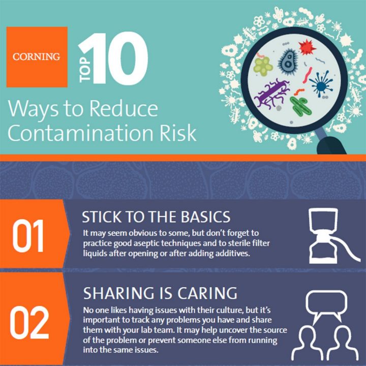 Cell Culture Contamination | Technical Resources | Life Sciences