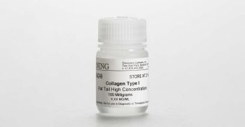 Tumorigenesis Research Lab Tools | 3D Tumor Spheroid Models | Corning