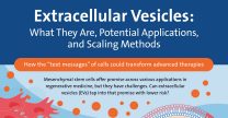 Extracellular Vesicles Research Products | EV Advanced Therapy Applications | Corning