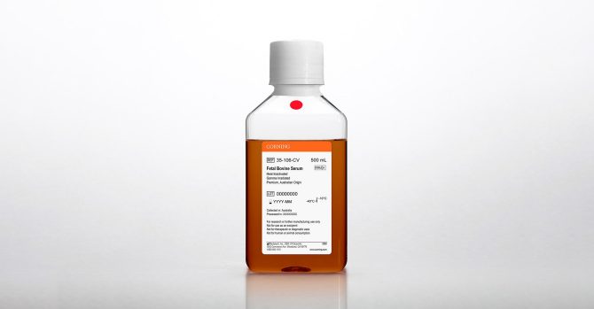 Scientific Support | Life Sciences | Corning