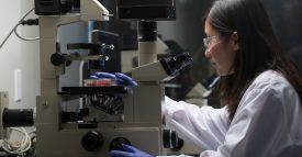 Scientific Support | Ask The Scientist | Corning