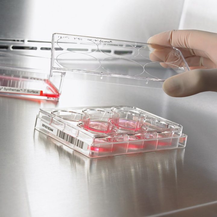 Permeable Supports Selection Guide | Inserts | Corning