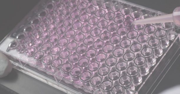 Corning Permeable Support Systems | HTS Insert Plates | Corning