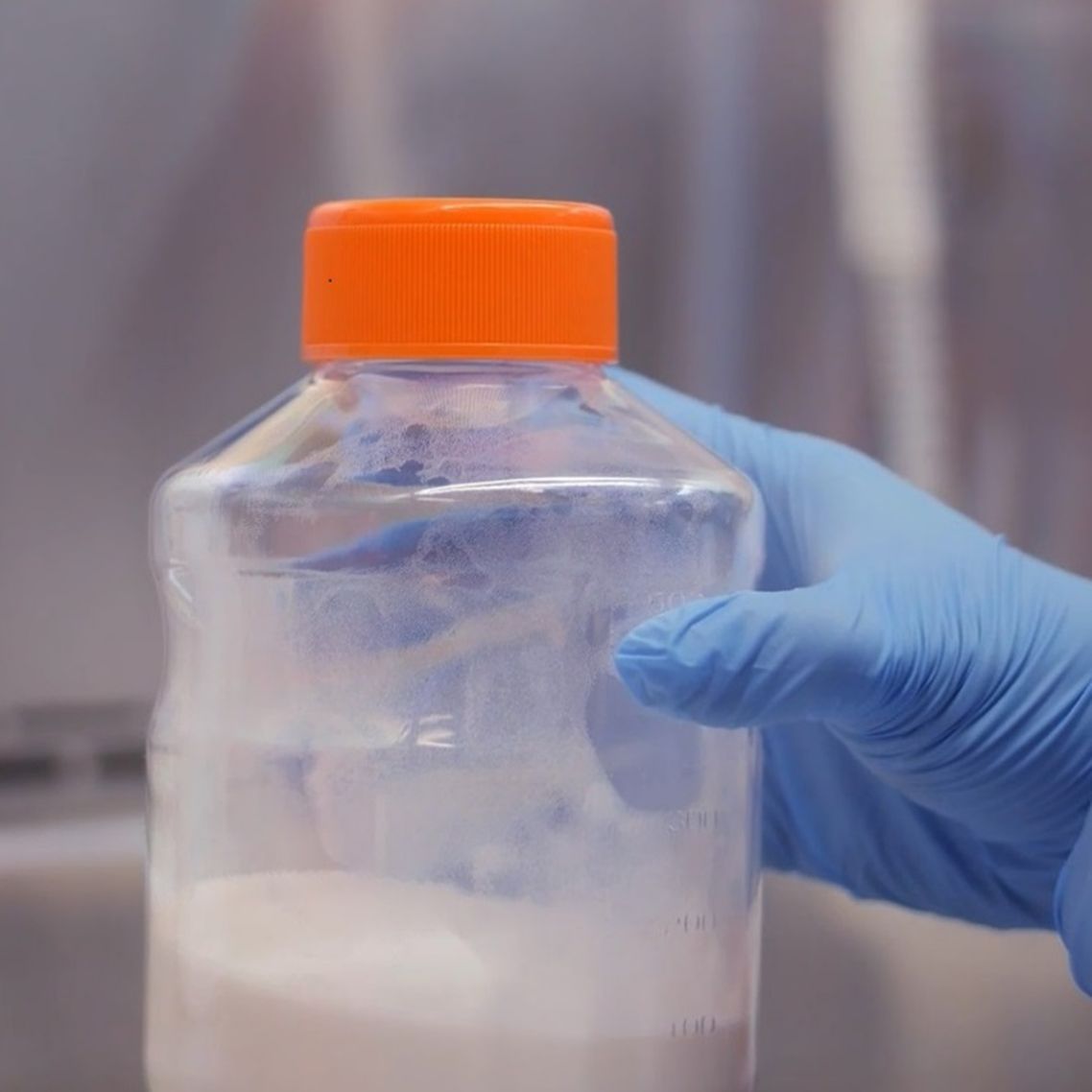 マイクロキャリア | 細胞増殖と収量 | Corning