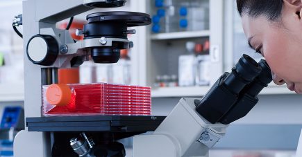 Lab Essentials – Tips for Making your Cell Culture Work More Efficient ...
