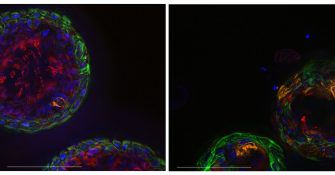 Scientific Support | Ask a Scientist | Corning