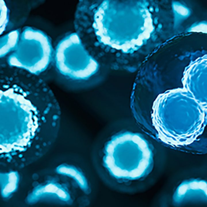 Lessons Learned: An Inside Look At Overcoming Stem Cell Therapy Scale ...