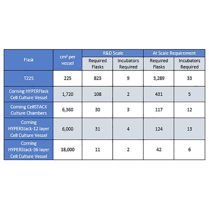 Lessons Learned: An Inside Look At Overcoming Stem Cell Therapy Scale ...