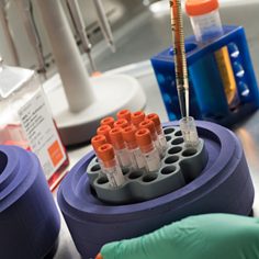 Stem Cell Cryopreservation | Corning