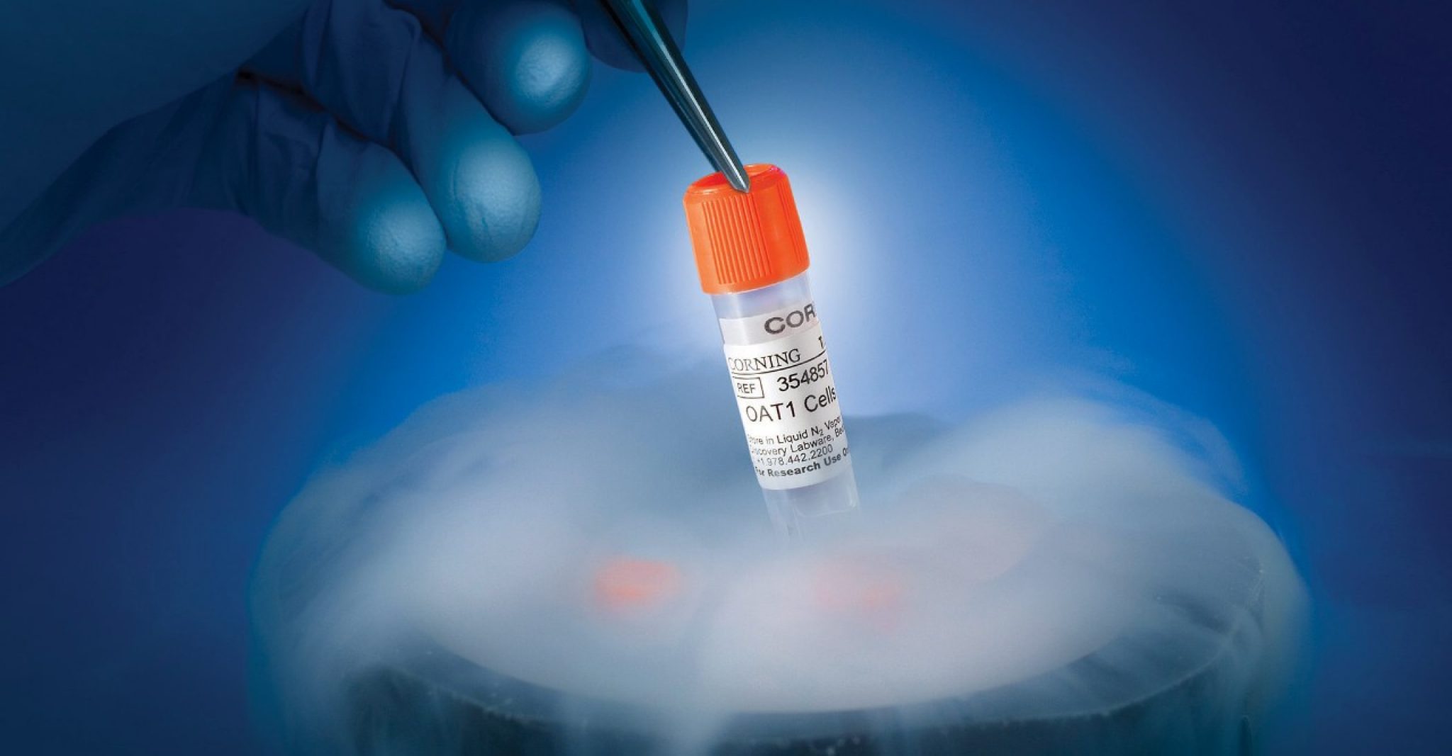 ADME 产品组合现已成为 Discovery Life Sciences 的一部分