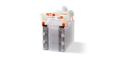 Mesenchymal Stem Cells Extracellular Vesicles as Therapy | MSC-EVs ...