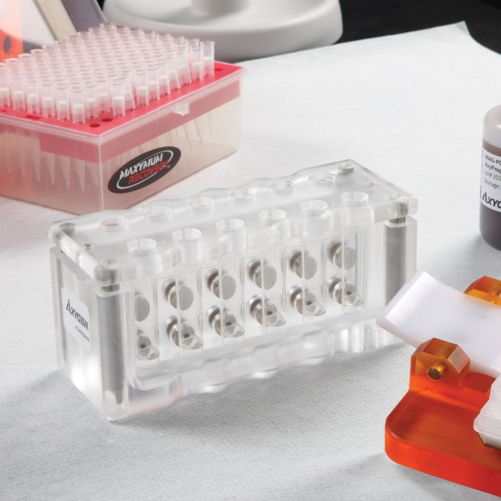 Molecular Biology | PCR and Genomics Solutions | Corning