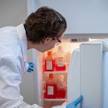 Preparing for a FBS Shortage: 4 Ways to Safeguard Your Supply of Fetal ...