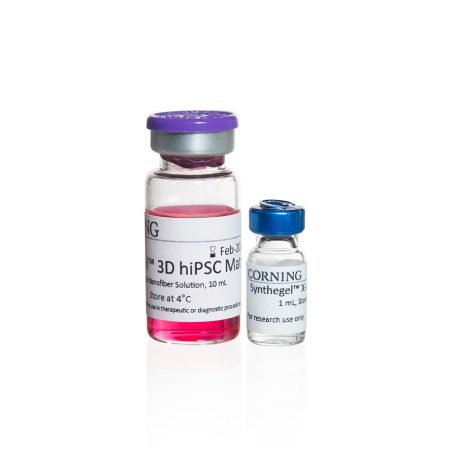 Corning® Synthegel™ 3D Matrix Kits | Synthetic Hydrogels for 3D hiPSCs ...