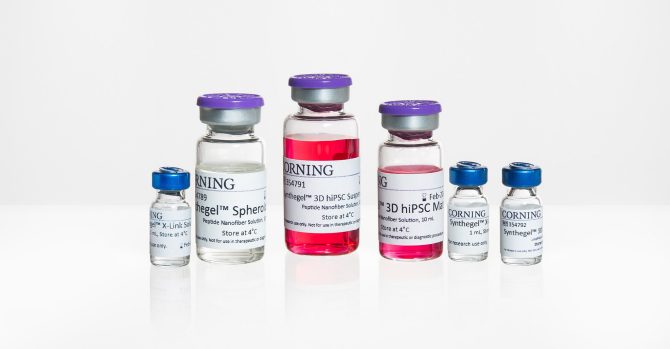 A Guide to Synthetic Hydrogels for 3D Cell Culture