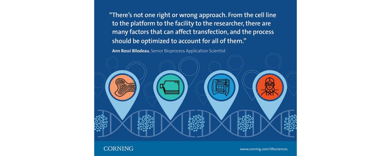 Transfection Best Practices for AAV Gene Therapy Programs | Corning