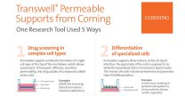 Permeable Supports | Individual Inserts | Corning